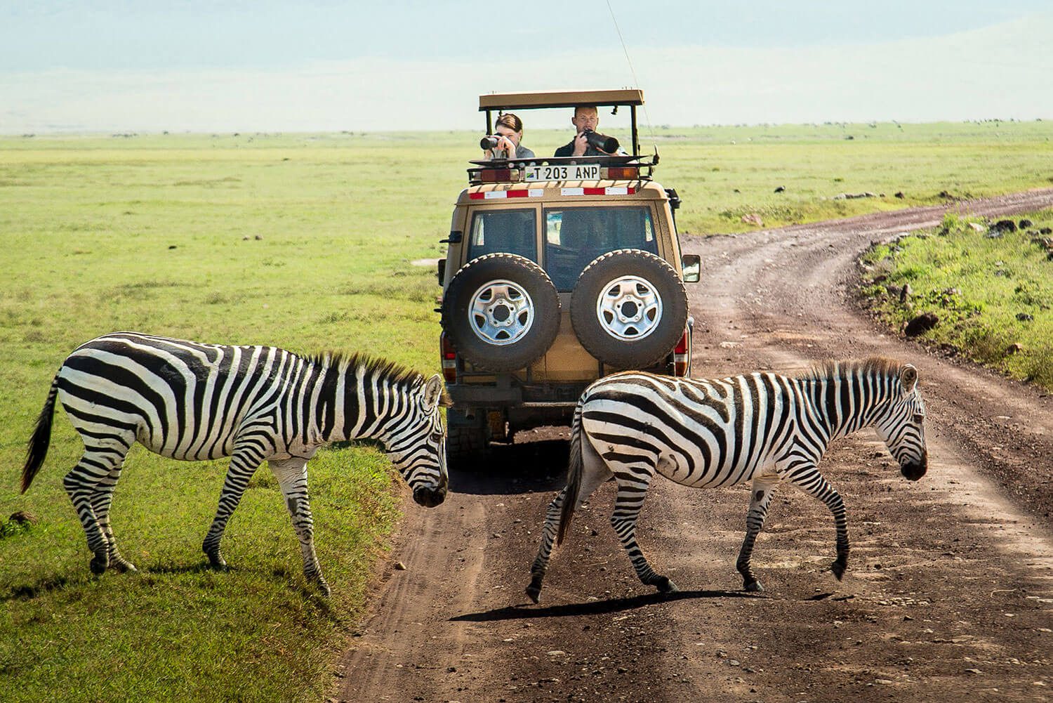 About Zepisa African Safaris